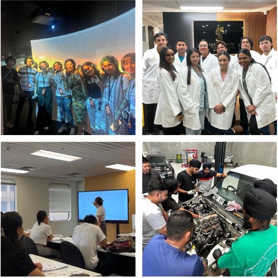 Signet Institute Of Australia